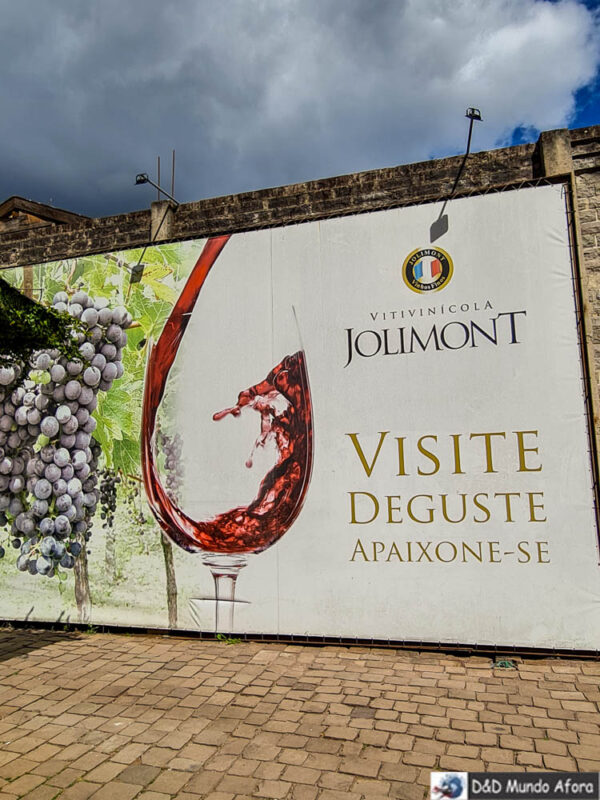 Vitivinícola Jolimont: tour para degustar melhores vinhos do mundo