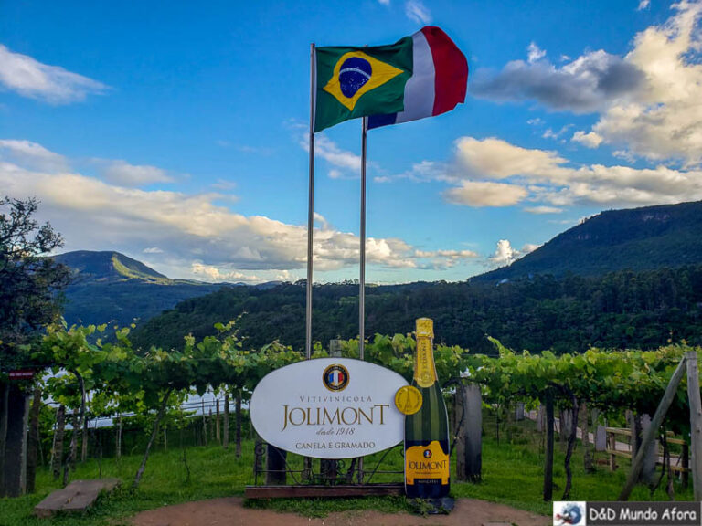 Vitivinícola Jolimont: tour para degustar melhores vinhos do mundo